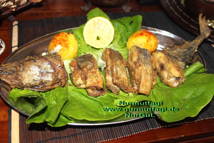Tavada misir unlu Palamut Balik kizartmasi – Nur Mutfağı