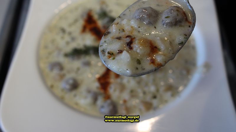 YOGURT CORBASI; KÖFTELI YOGURT CORBA TARIFI; LEBENIYE CORBASI TARIFI (5 ...