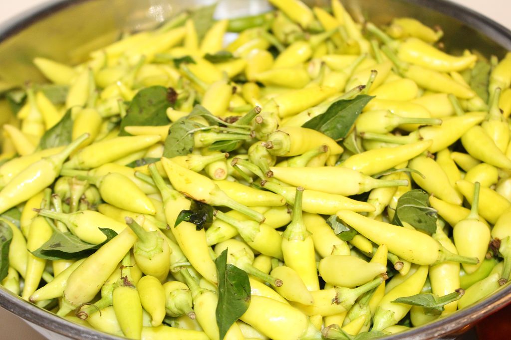 aci süs biber tursusu, cin biber tursu tarifi, domates soslu cin biber ...