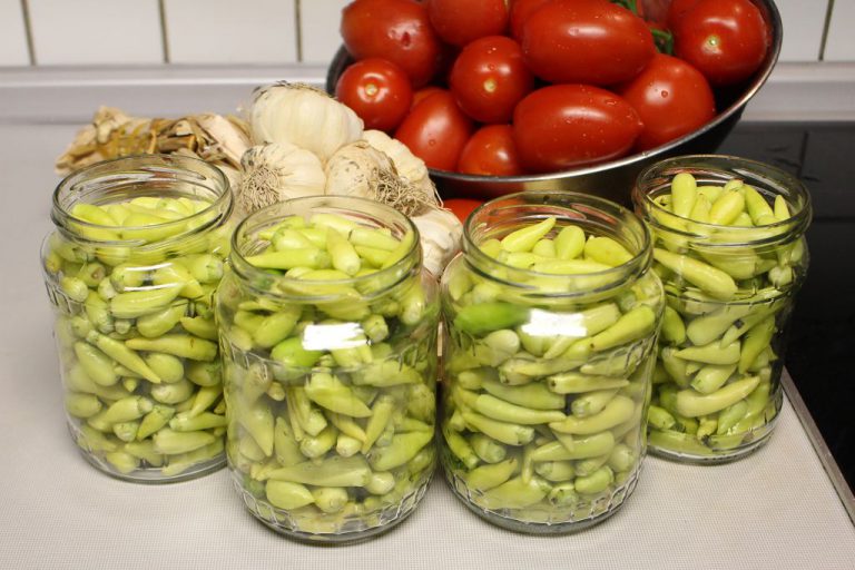 HER YIL KURDUĞUM TURŞU TARİFİMLE CİN BİBER VE 7 VEREN SÜS BİBER TURŞUSU ...